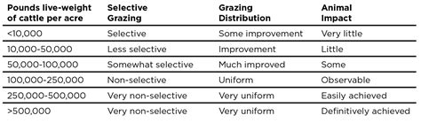What Is High Stock Density Grazing Noble Research Institute