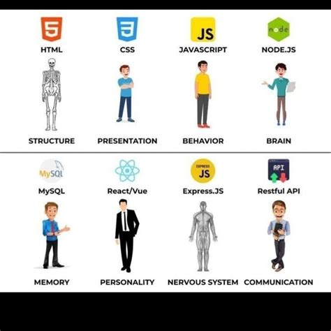 ayesha seemab on linkedin webdeveloper continuousgrowth
