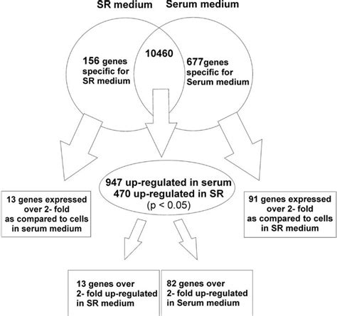 Unique Gene Expression Signature By Human Embryonic Stem Cells Cultured Under Serum‐free