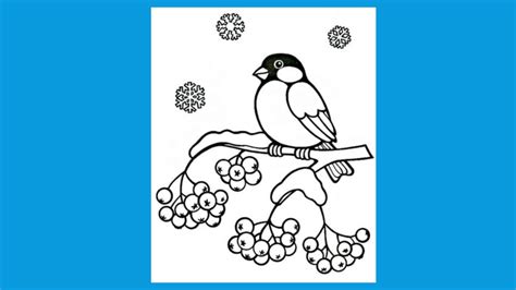 Презентація День годування птахів