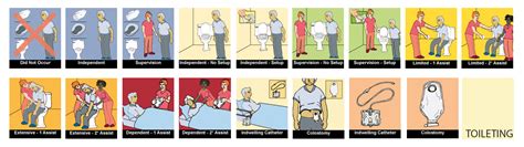 Cna Picture Charting Illustrations For Interface On Behance