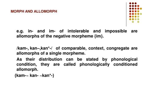Ppt Morphology Its Relation With Phonology Syntax And Semantics