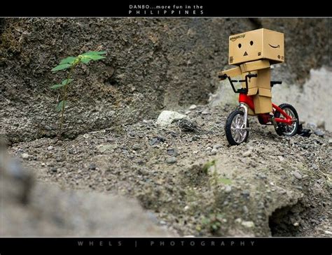 1000 Images About Box Man On Pinterest Danbo Babe Boxes And Amazon Box