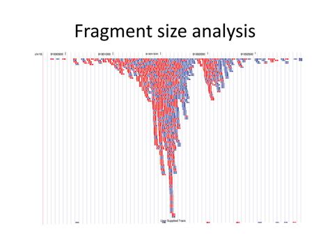 Ppt Chip Seq Powerpoint Presentation Free Download Id2695088