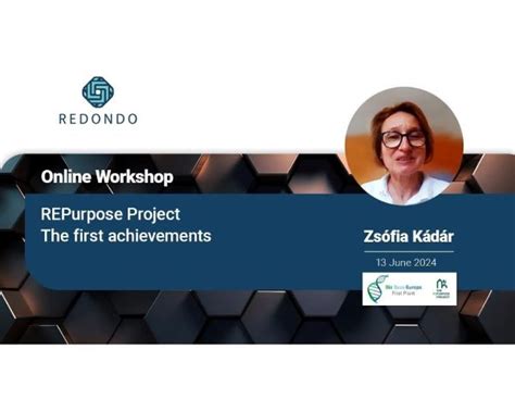 Redondo Project Reversibly Designed Cross Linked Polymers