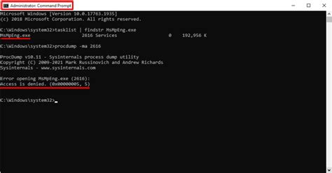 Safeguarding Memory In Higher Level Programming Languages Praetorian