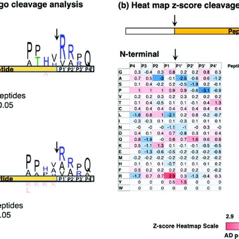 Vgf Peptide Cleavage Site Analysis In Ad Compared To Controls A