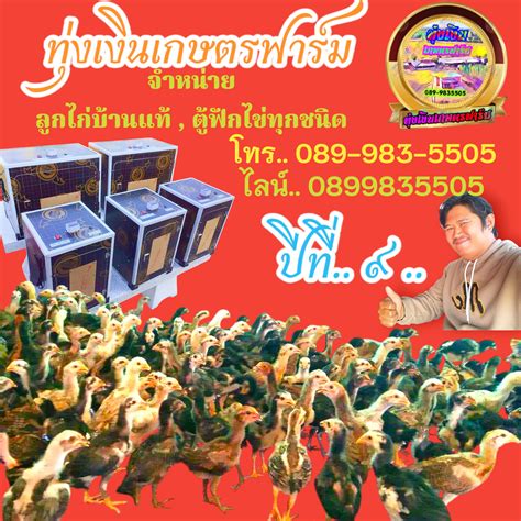 ฟักไข่ปลาไหล ตั้งความหวังไว้สูง ก็เลยใช้ความพยายามเยอะหน่อย เคยได้ฟังครูสอนนักมวยท่านหนึ่ง