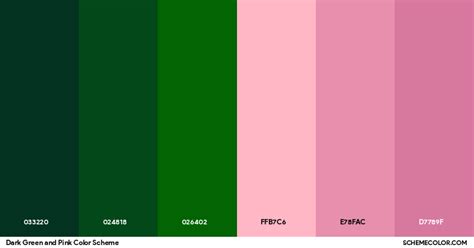Dark Green Paint Color Palette Hex Codes Infoupdate Org