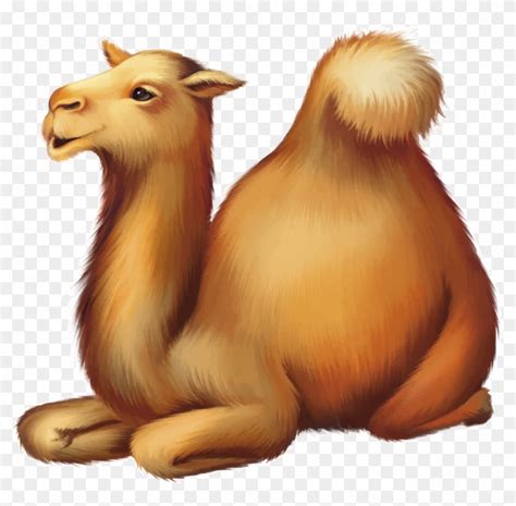 Camel Png Image And Camel Png Clipart Free Download جمل كرتون