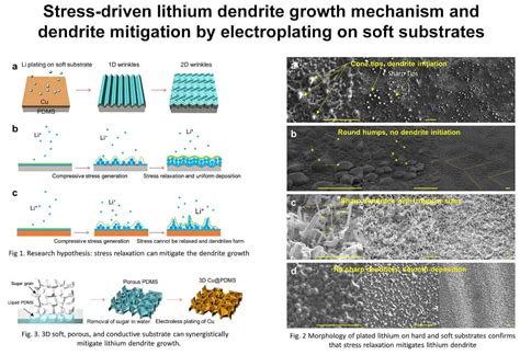 Researchers Understand And Utilise Dendrites To Enhance Lithium Metal Batteries