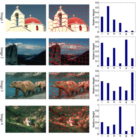 Relative Final Clustering Weights Of Different Features On Different