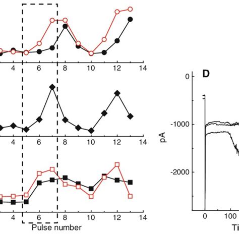 Analysis Of Hyperpolarization Induced Inward Currents Recorded From Download Scientific Diagram