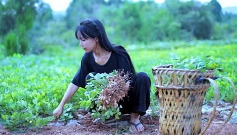 李子柒走红海外启示录一：以美食的角度引起世人的共鸣中国