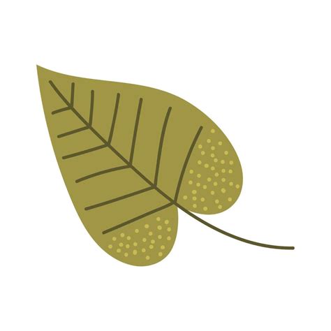 Leaf Plant Foliage 11092714 Vector Art At Vecteezy