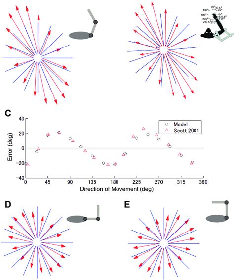 Spatial Properties Of Population Vectors Constructed From The Model