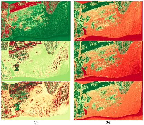 Sensors Free Full Text Assessment Of Atmospheric Algorithms To Retrieve Vegetation In