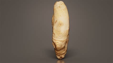 Ginger Remastered 3d Model Turbosquid 2362456