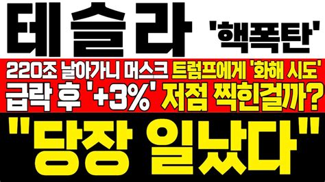 [테슬라 주가전망] 미노출 머스크 220조 날라가니 트럼프와 화해 시도 재차 반등 구간이 나오는 지금 기회 일 수 밖에 없는 사유 목표가 여기까지 대응필수