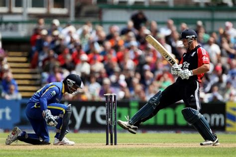 크리켓 배경 화면크리켓크리켓 공잔디스포츠박쥐와 공 게임 142367 Wallpaperuse