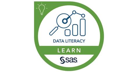 Mohamed Essam On Linkedin Data Literacy Essentials Was Issued By Sas