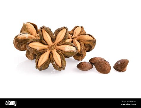 sacha inchi isolated on white background Stock Photo - Alamy