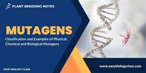 Mutagen Examples