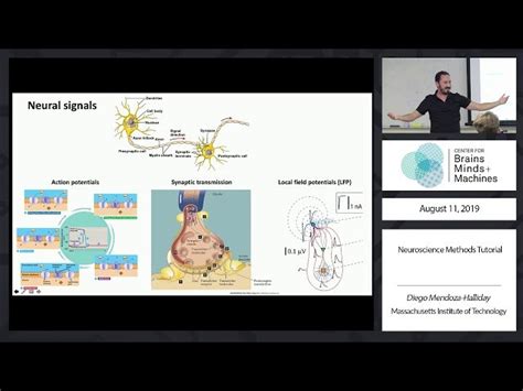 Free Video Neuroscience Methods Tutorial From Mitcbmm Class Central