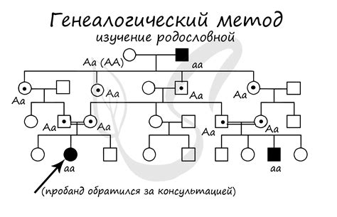 Генетика и ее методология, подготовка к ЕГЭ по биологии