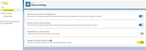 Custom Settings In Salesforce Unleashing The Power Of Custom Settings