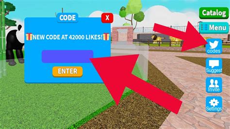 Hide And Seek Transform Codes