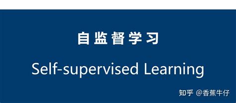 自监督学习self Supervised Learning 知乎
