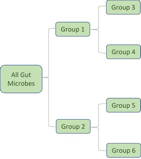 Using The Image Above Create A Dichotomous Key