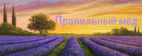 Правильный мёд Крымский лавандовый мёд Интересное про пчёл 2025 ВКонтакте