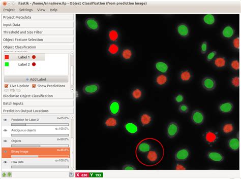 Ilastik Object Classification