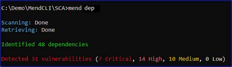 view the results of your mend cli sca scan