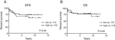 Ultraconserved Long Non Coding Rna Uc112 Is Highly Expressed In