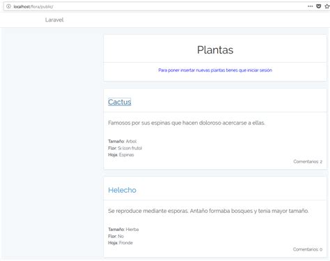 Ver Imagenes Almacenadas En Una Vista De Laravel Stack Overflow En