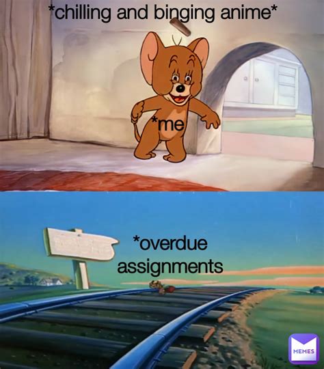 Overdue Assignments Chilling And Binging Anime Me Sneks01 Memes