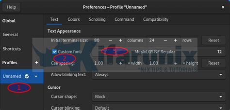 Install And Setup Zsh And Oh My Zsh On Fedora 32