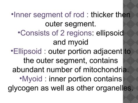 Rhodopsin Cycle Ppt