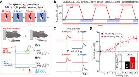 behavioral task performance download scientific diagram