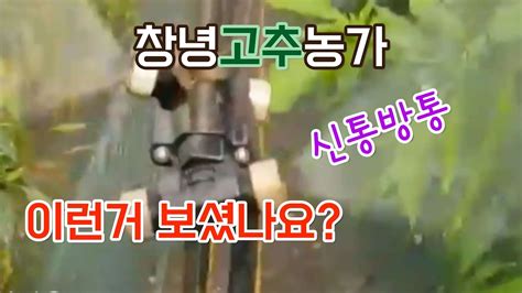 166 이런거 보셨나요 신통방통 천연비료 무농약 식물영양제 액비만드는방법 미생물 염류장해 천연액비 퇴비 식물살충제 친환경 비료 유기농 고추