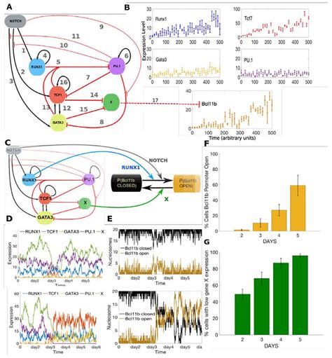 Core Circuit Pseudo Time Series Data Stochastic Simulations And