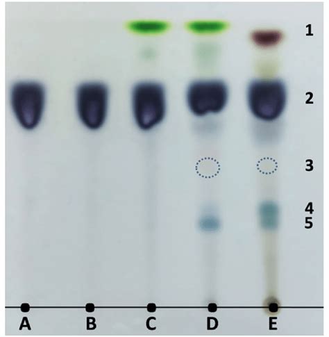 Tlc Chromatogram Of Above Stated Reaction After Seven Days Of A