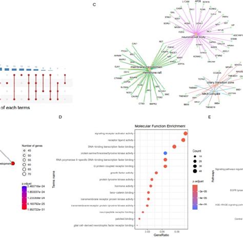 Identification And Enrichment Analysis Of Hscr Associated Genes A