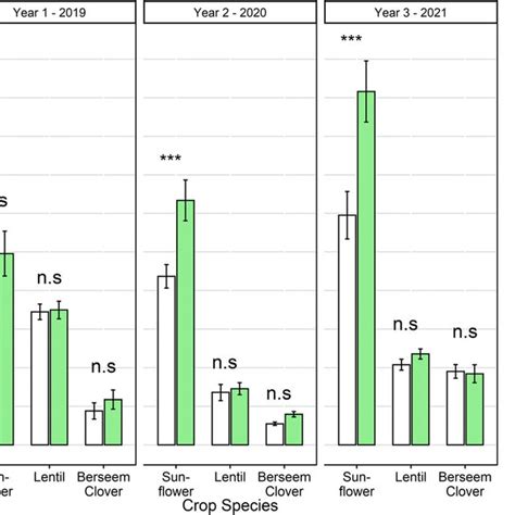 Biostimulatory Effect Of Liquid Vermicompost Extract Lve On A Plant Download Scientific