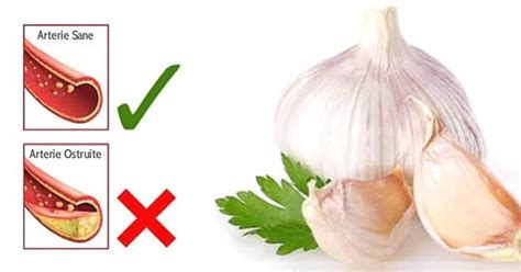 საშინაო საშუალებები სისხლძარღვების ბოლომდე გასაწმენდად და გულის დაავადებების პროფილაქტიკისთვის