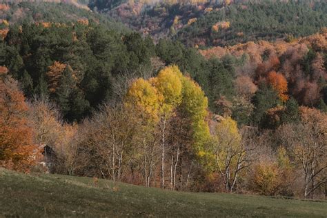 Cewekbohaysexy Photos Download The Best Free Cewekbohaysexy Stock