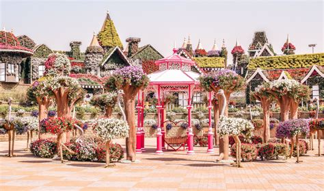 The Dubai Miracle Garden Why You Must Visit